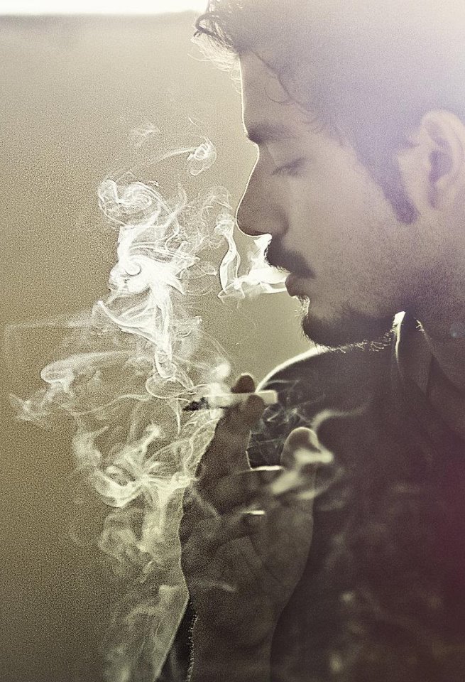 Honey Bee Malayalam Movie Sreenath Bhasi