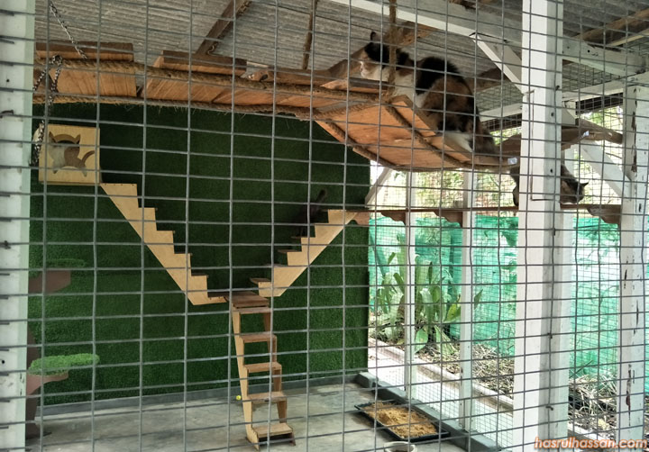 Windmill PD Farm, Tempat Menarik Baharu di Port Dickson