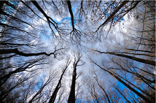 A beautiful lofty thing, heroically lost, heroically found