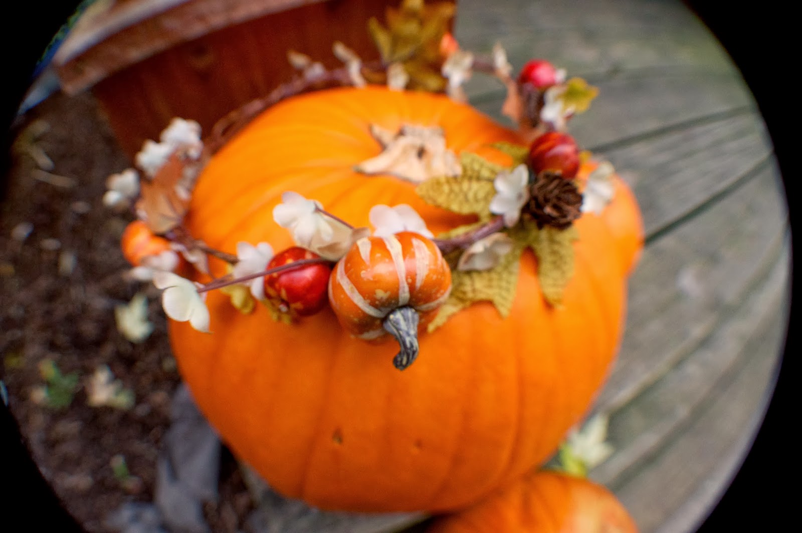 The Lone Faerie: Fall Floral Crowns