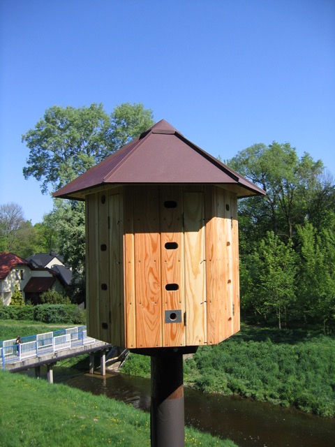 Action for Swifts: A successful Polish Swift tower design