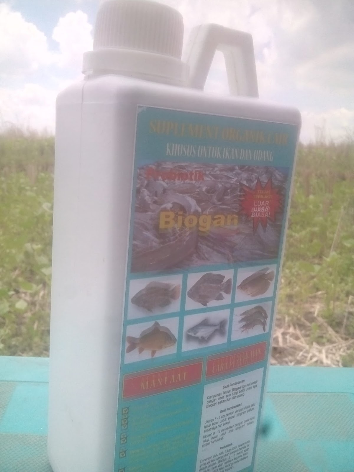 Pupuk Organik Cair BIOGAN: APLIKASI PROBIOTIK BIOGAN PADA BUDIDAYA ...