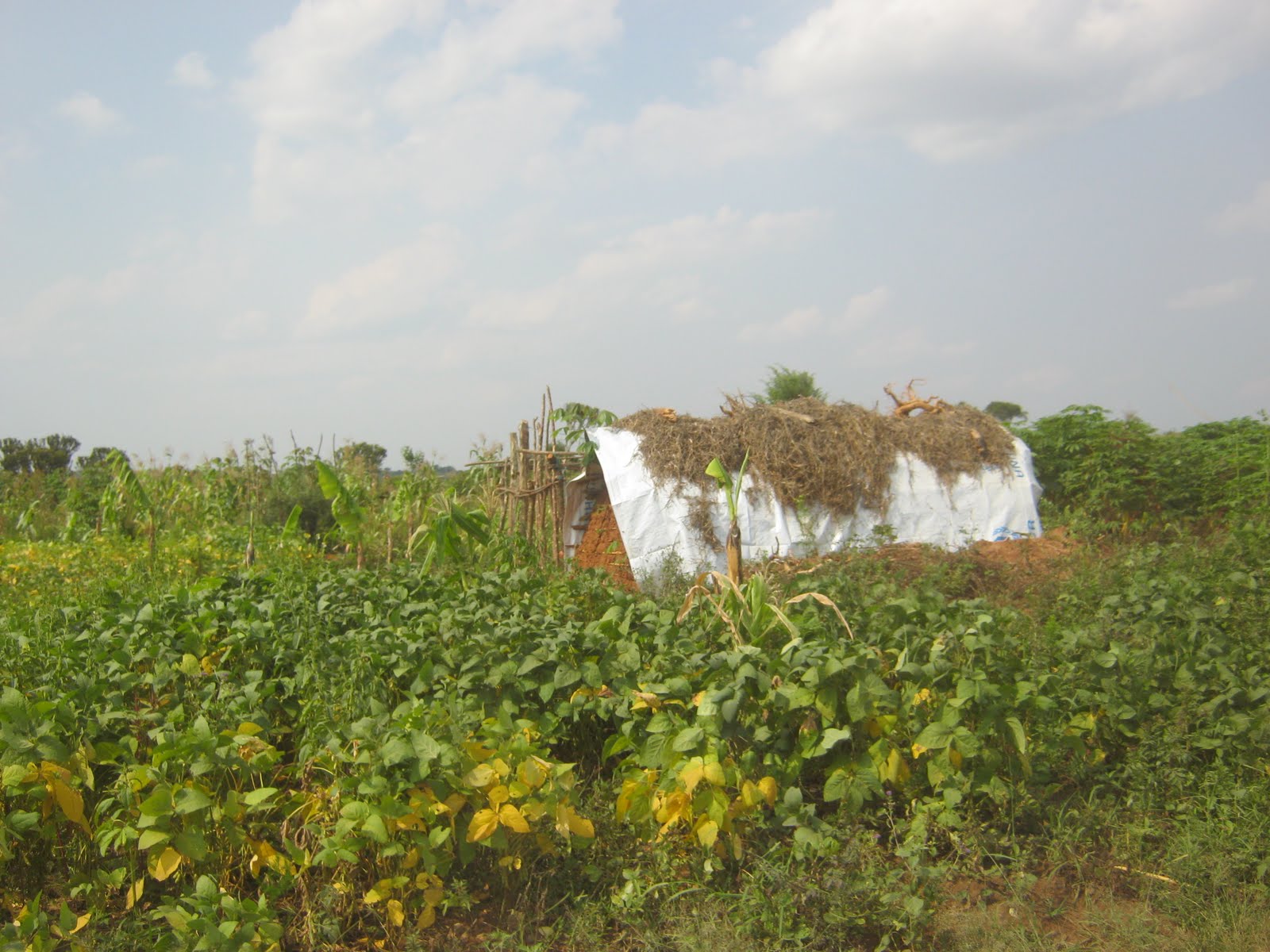 Nakivale Refugee Camp in Uganda: A Walk into the Village of the Refugee ...