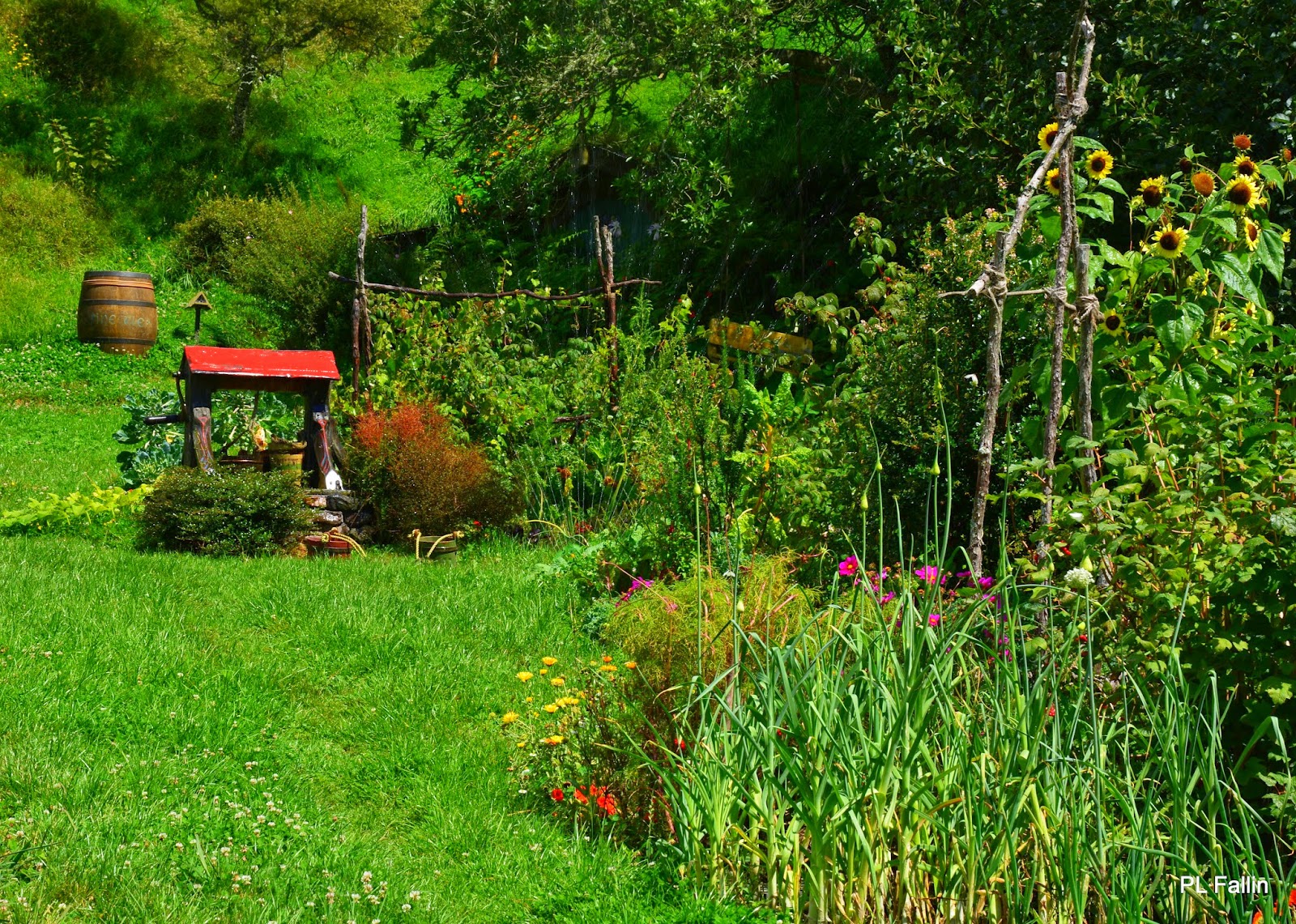 PL Fallin Photography: The Hobbit's Middle-Earth Flower and Vegetable ...
