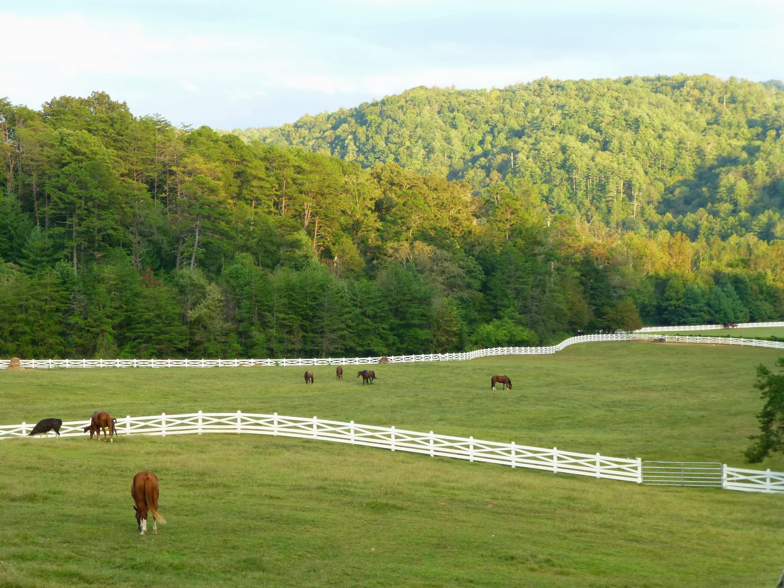 Romancing the Home: Back to Blackberry Farm