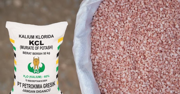 Fungsi dan Manfaat Pupuk KCL Bagi Tanaman - LIBCARE