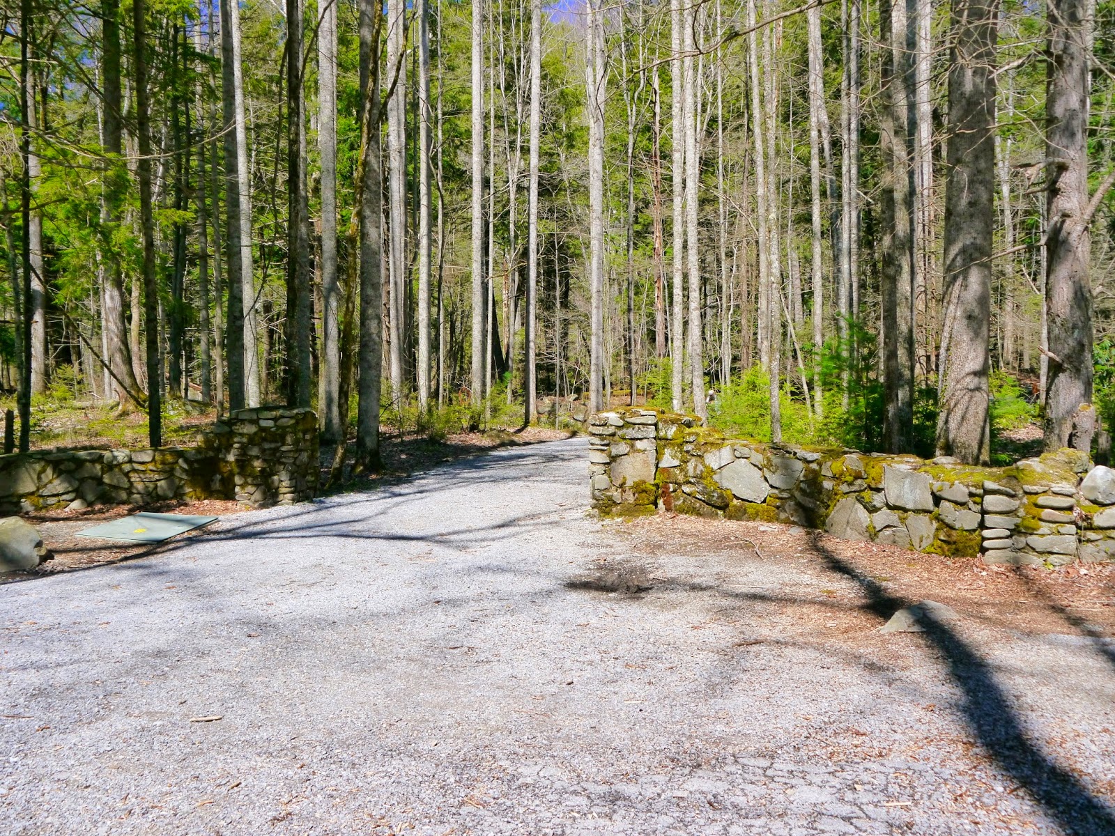 American Travel Journal: Little River Trail - Great Smoky Mountains ...
