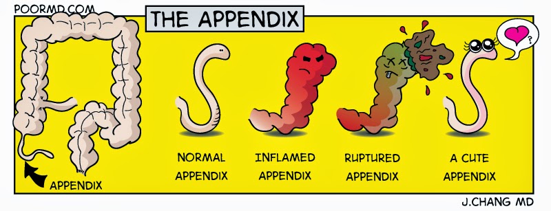 Poor Md Appendix Comic