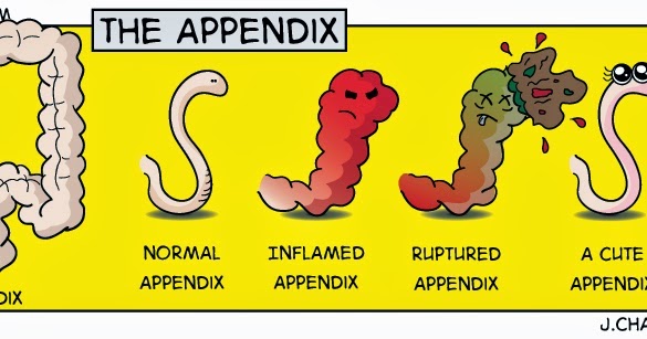 Poor MD: Appendix Comic