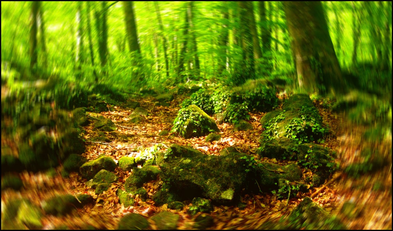 Desenfoque de imagen