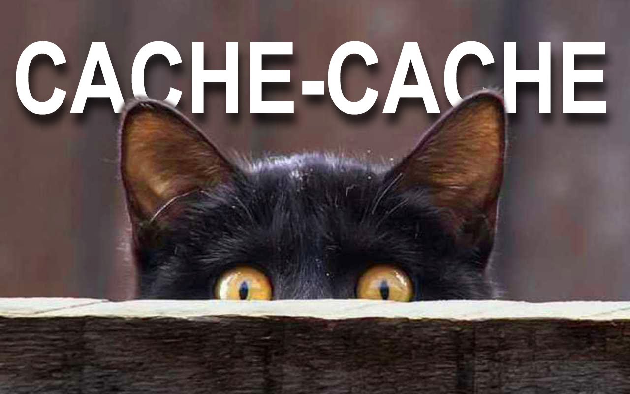 Filigrane: JEU 14 : Mots cachés