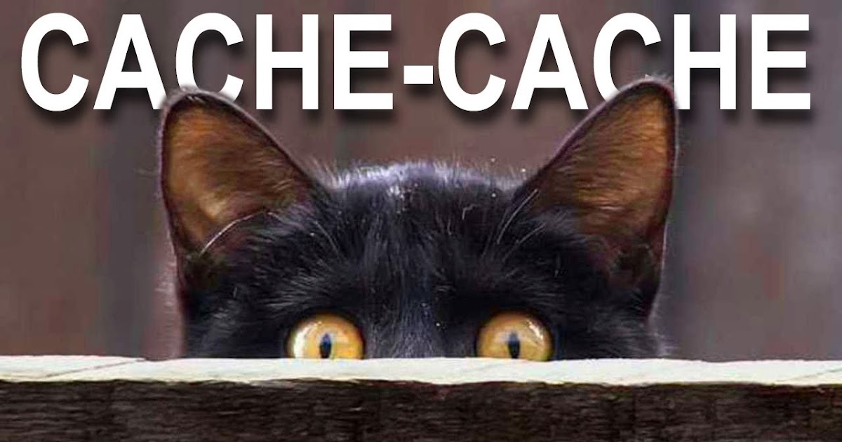 Filigrane: JEU 14 : Mots cachés