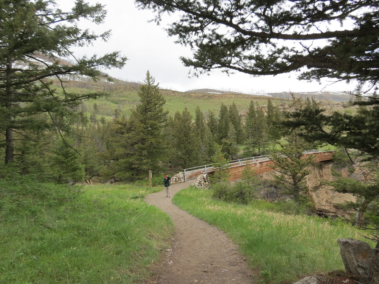 Where's Liz-2012?: Big Timber, Montana