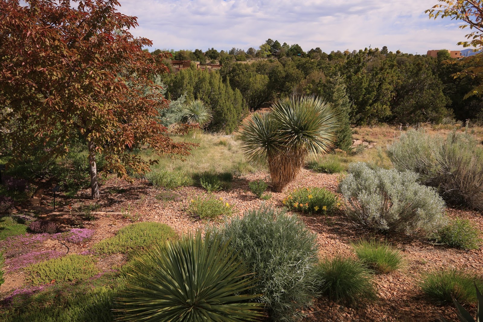 Delights of the Heart: Santa Fe Botanical Gardens