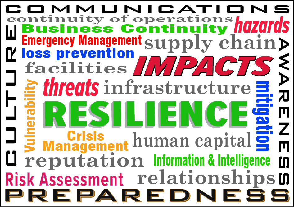 Preparedness, LLC: Resilience