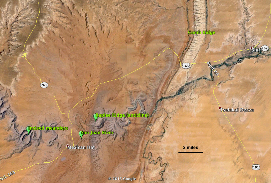 In the Company of Plants and Rocks: The Navajo Rug