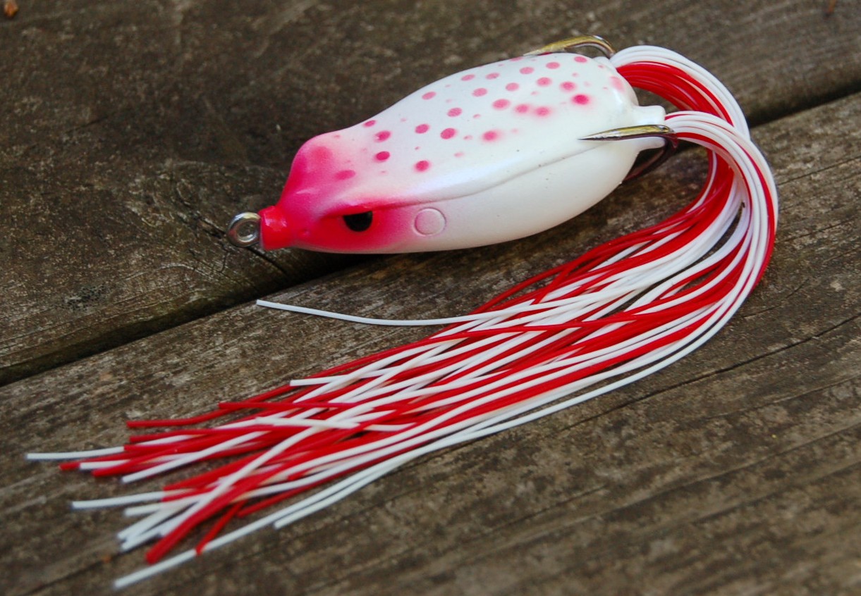 Bass Junkies Frog Pond: Bass Pro Shop: Kermy Frog Review