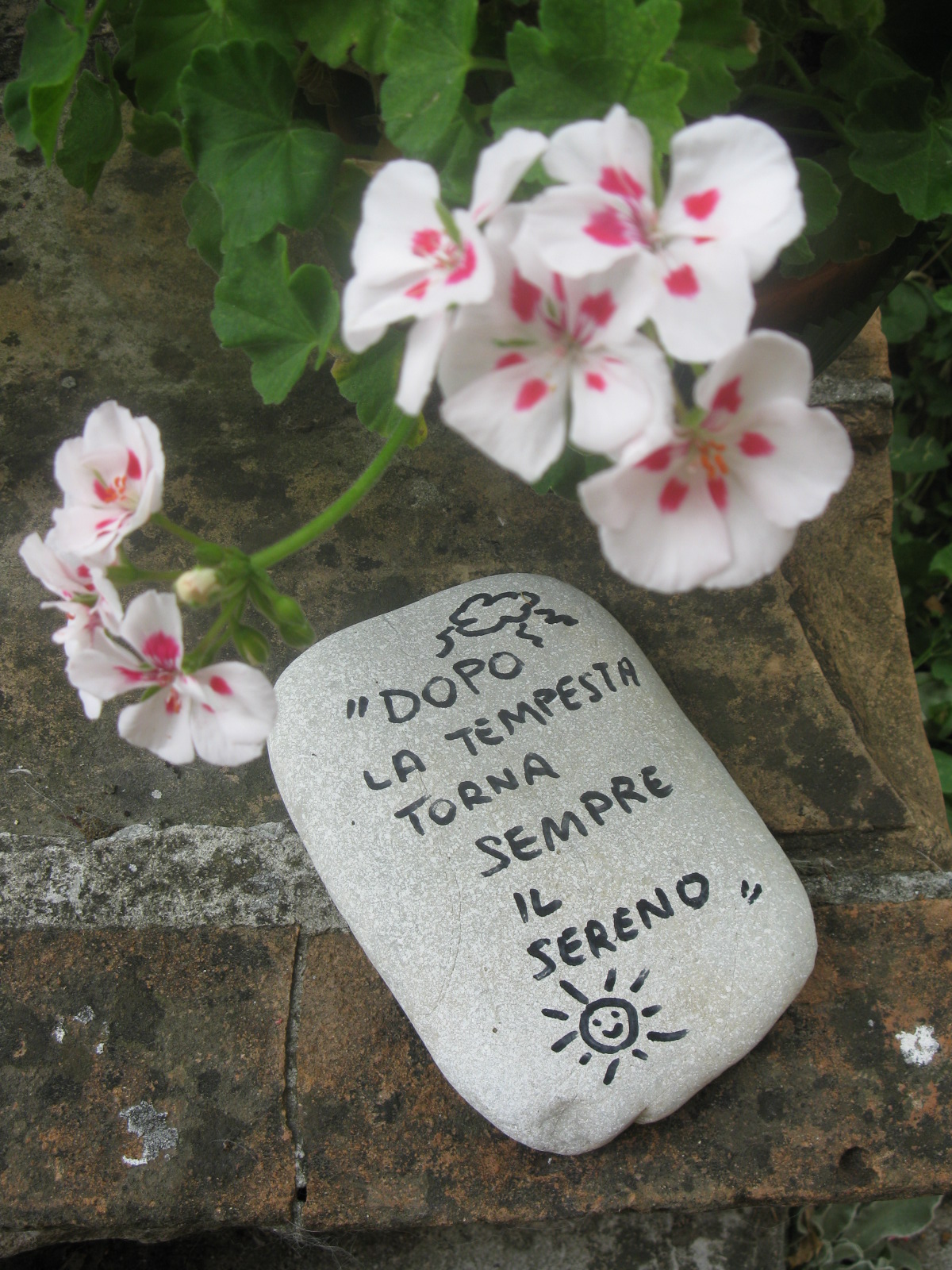 Alter Ego: I miei sassi