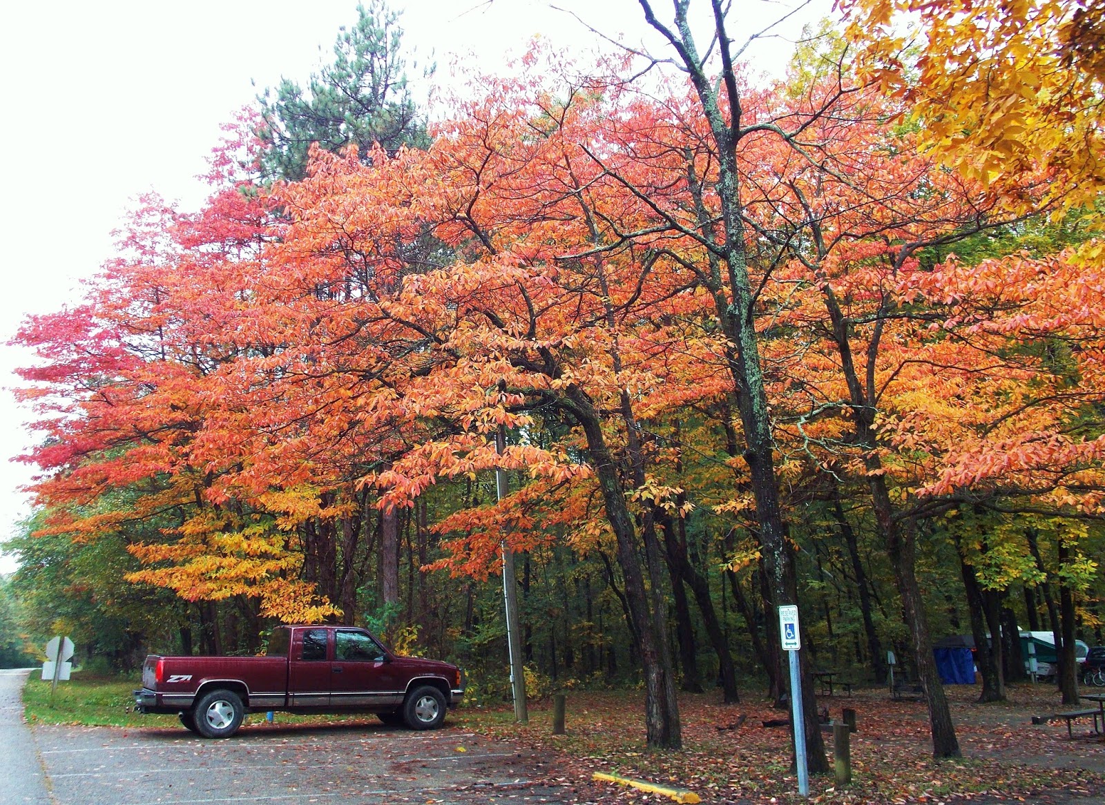 The Schramm Journey: Red Hills Illinois State Park