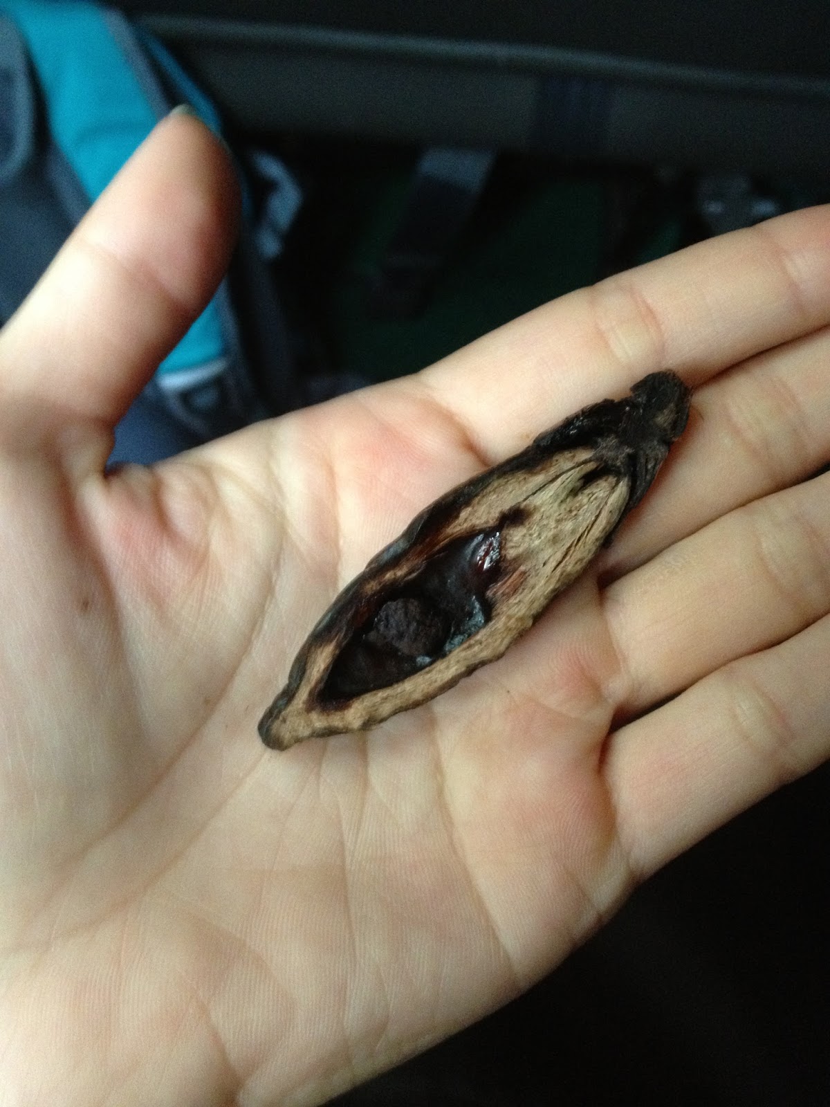 KayLi Lum: On the Road: First Stop: Hainan Island!