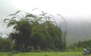 Definisi / Pengertian Angin dan Penyebab Terjadinya