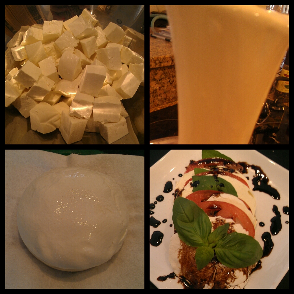 Cuit Sans Four: Say Cheese! Inspiration from Wisconsin's dairy country...