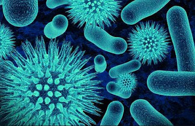 babacska: Pemanfaatan Jasad Renik Oleh Nenek Moyang Kita Dahulu