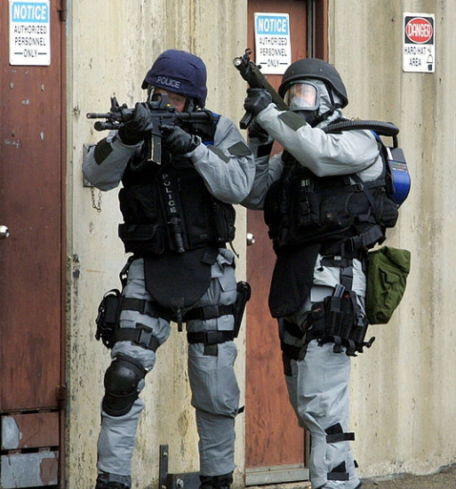 Gsg9 1/87 Unité spéciale: TOU - Tactical Operations Unit New South ...