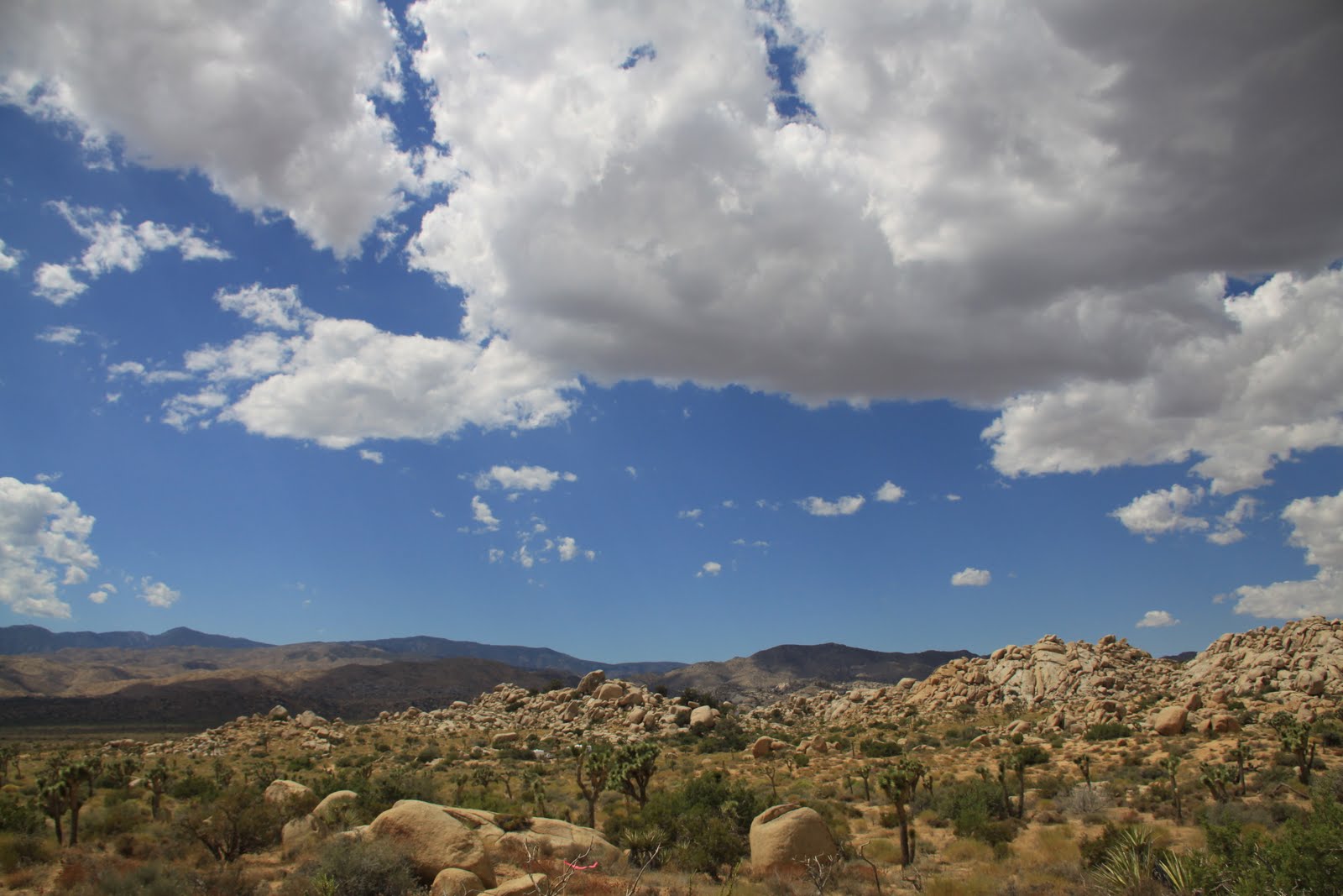 My Scenic Byway: High Desert Beauty