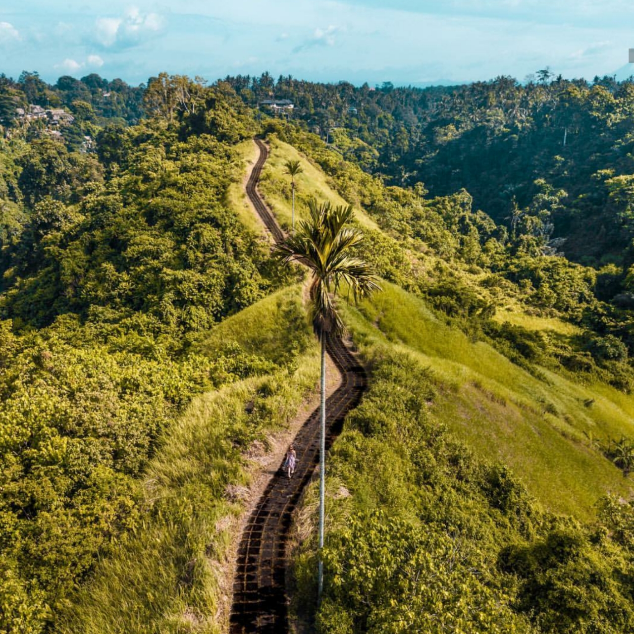 Campuhan Ridge Walk, Intip Suasana Bali yang Berbeda Disini! - Payana Dewa