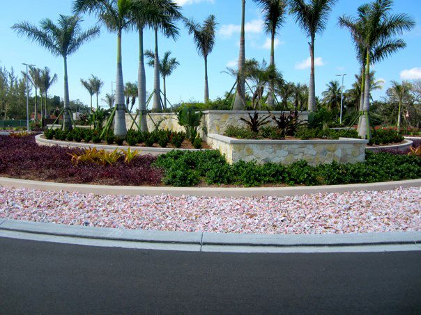 Why Me?: Adventures in Bahamia