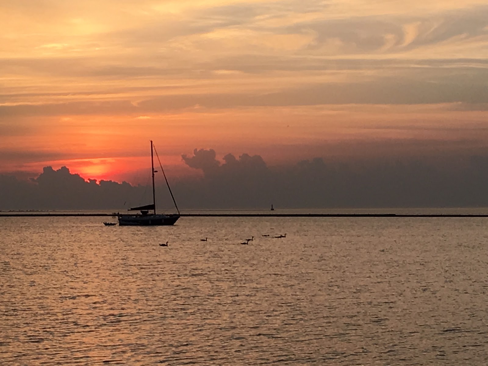 Sloopin - A South Loop Blog