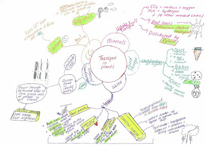 Magh Sci: Mind Map - Transport in Flowering Plants