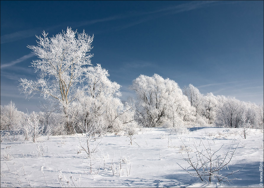 Photogallery of miracles of light: Russian winter landscapes