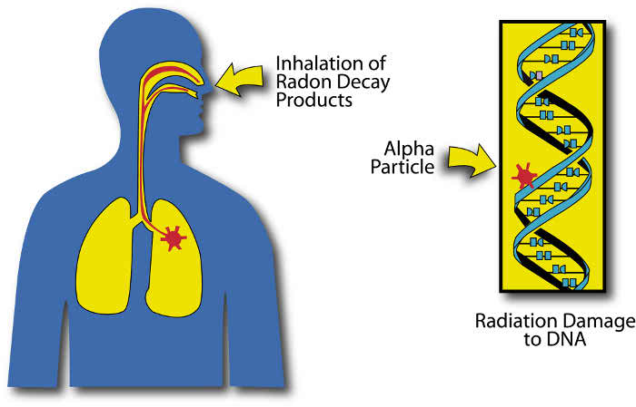 Inhalation of radon is linked to lung cancer - Air Purifiers