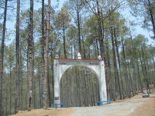Binsar Mahadev Temple: Feel The True Peace of Heaven
