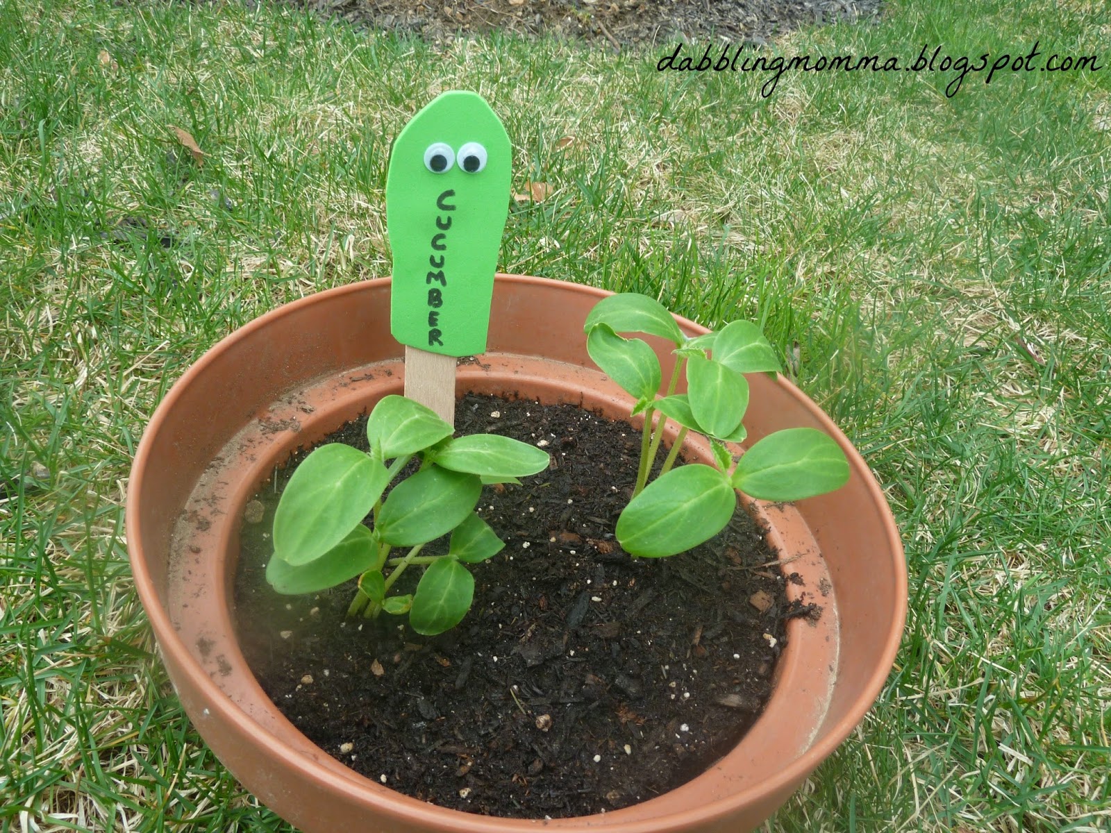 Dabblingmomma: Vegetable Garden Labels