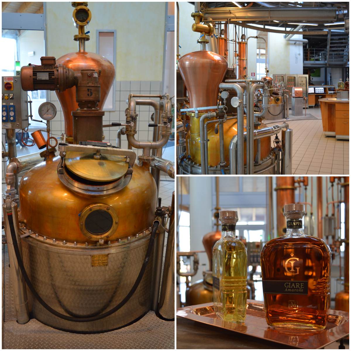 Una visita alla distilleria Grappe Marzadro a Rovereto - Montagna di Viaggi