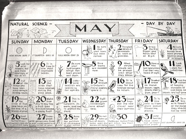 Home Schooling The Hoffmasters: May and June Nature Calendars
