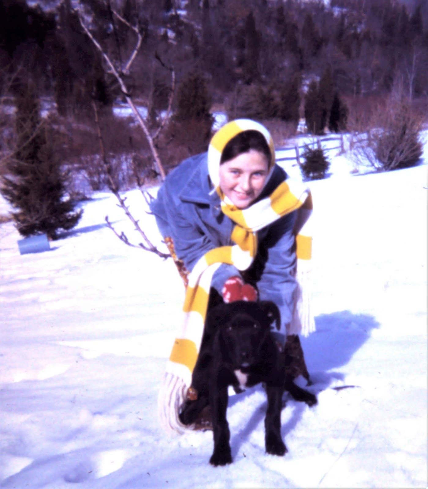 Who We Are and How We Got This Way: 2018