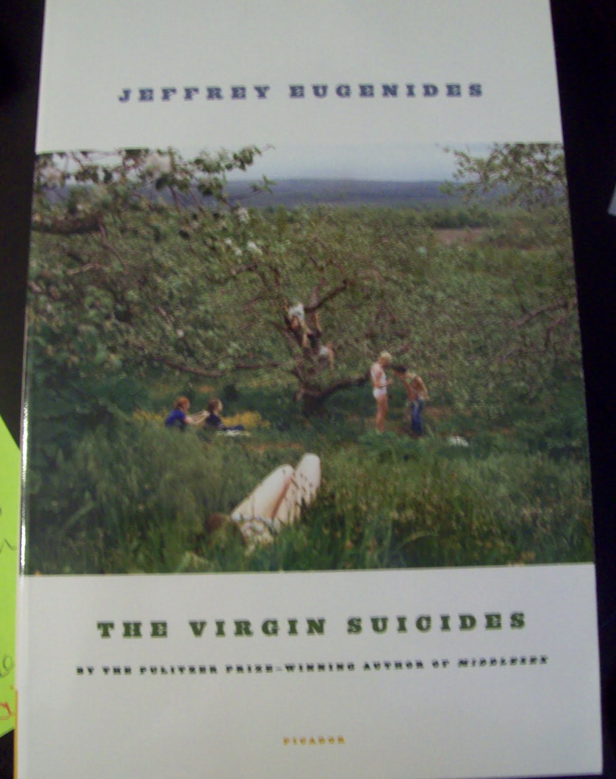 A Joyful Reader: Book Review: "The Virgin Suicides" By: Jeffrey Eugenides