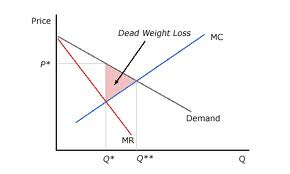ECONOMICS..............: deadweight loss