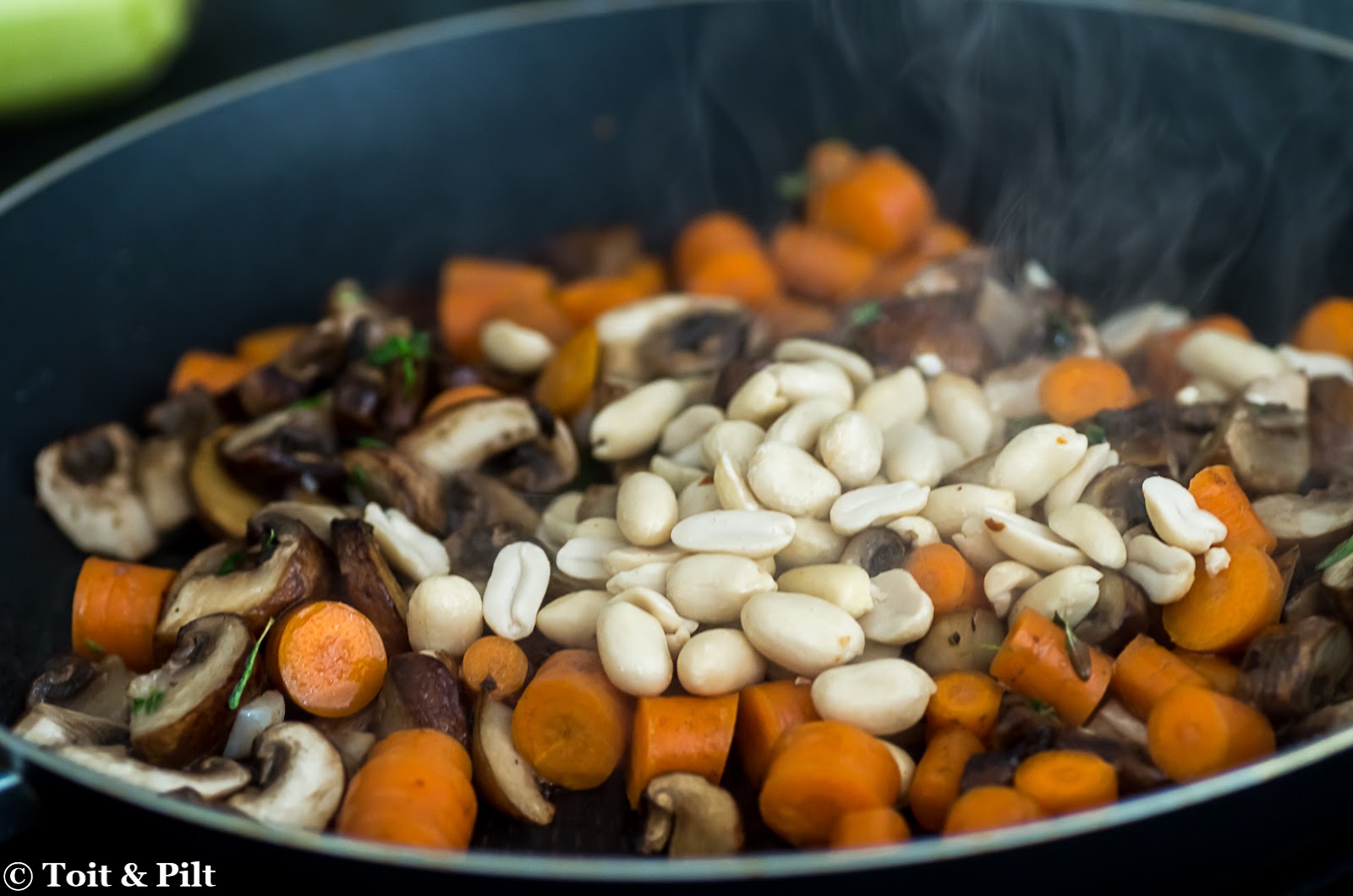 TOIT & PILT: Lihtne panniroog