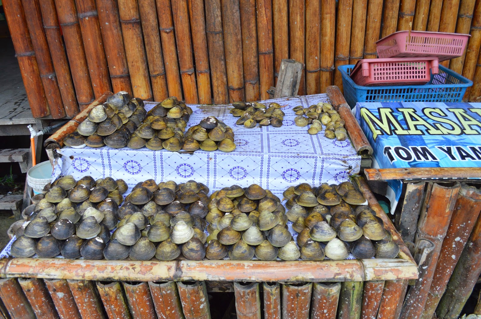 Lokan Bakar dan Puding Kelapa Di Salut, Sabah.