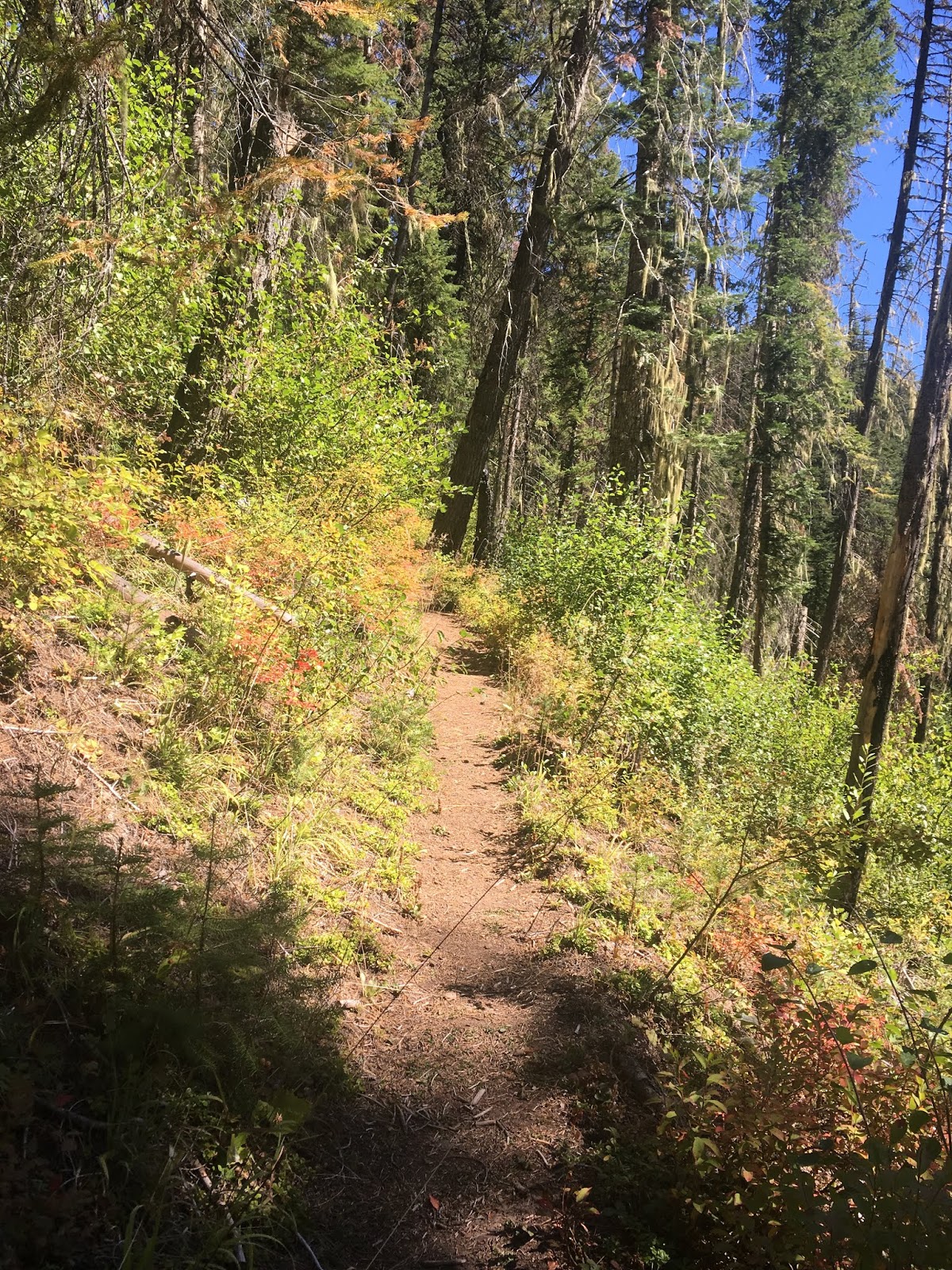 Walla Walla Outside: Tucannon River Trail