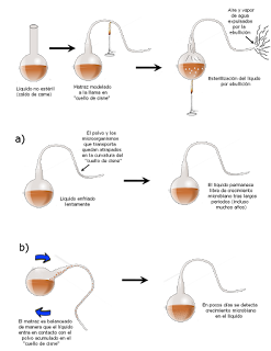 cienciarce: Historia del experimento de Louis Pasteur