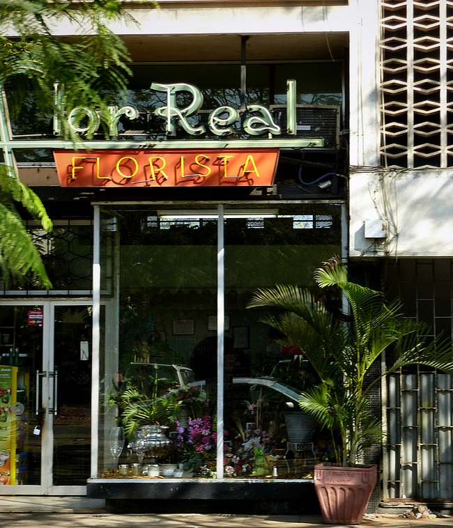 Lojas antigas com reclames (14) - Floristas. Maputo, Moçambique