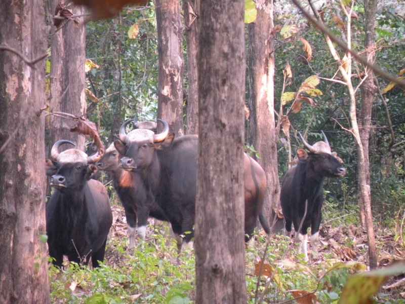 The experiences of my Travel