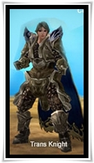 Build's das classes ~ .::Pit Stop WYD::.