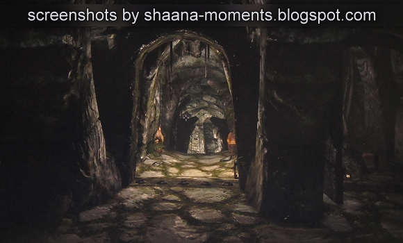 shaana: The Elder Scrolls 5 - Skyrim - Angarvunde - rechte Seite